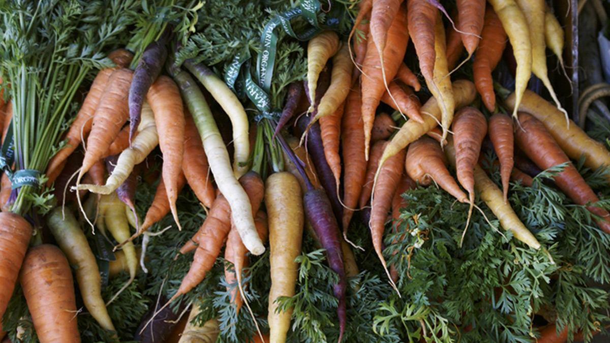 Big History Project: Life